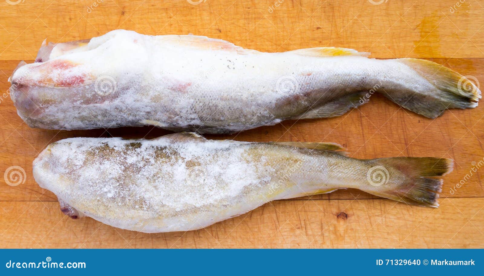 The Fish Object. Stock Photography | CartoonDealer.com #92342834