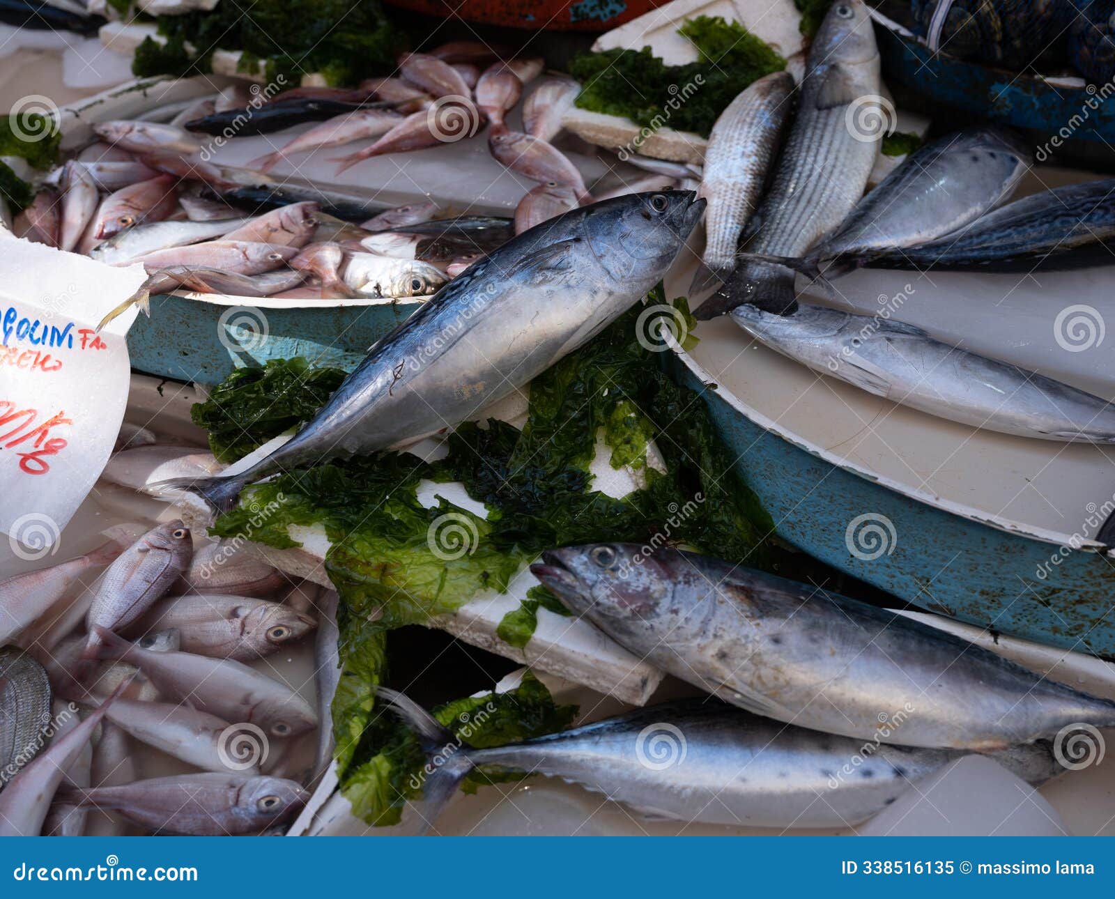 Fish in open seamarket stock image. Image of healthy - 338516135