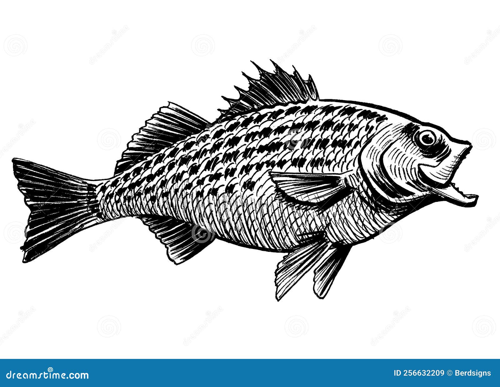 Fish with opened mouth stock illustration. Illustration of lake - 256632209
