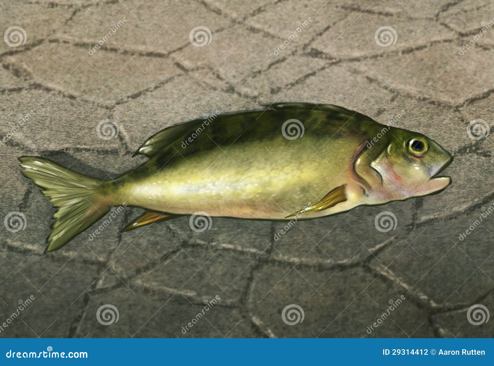A Fish Out of Water - Digital Artwork Stock Illustration - Illustration ...