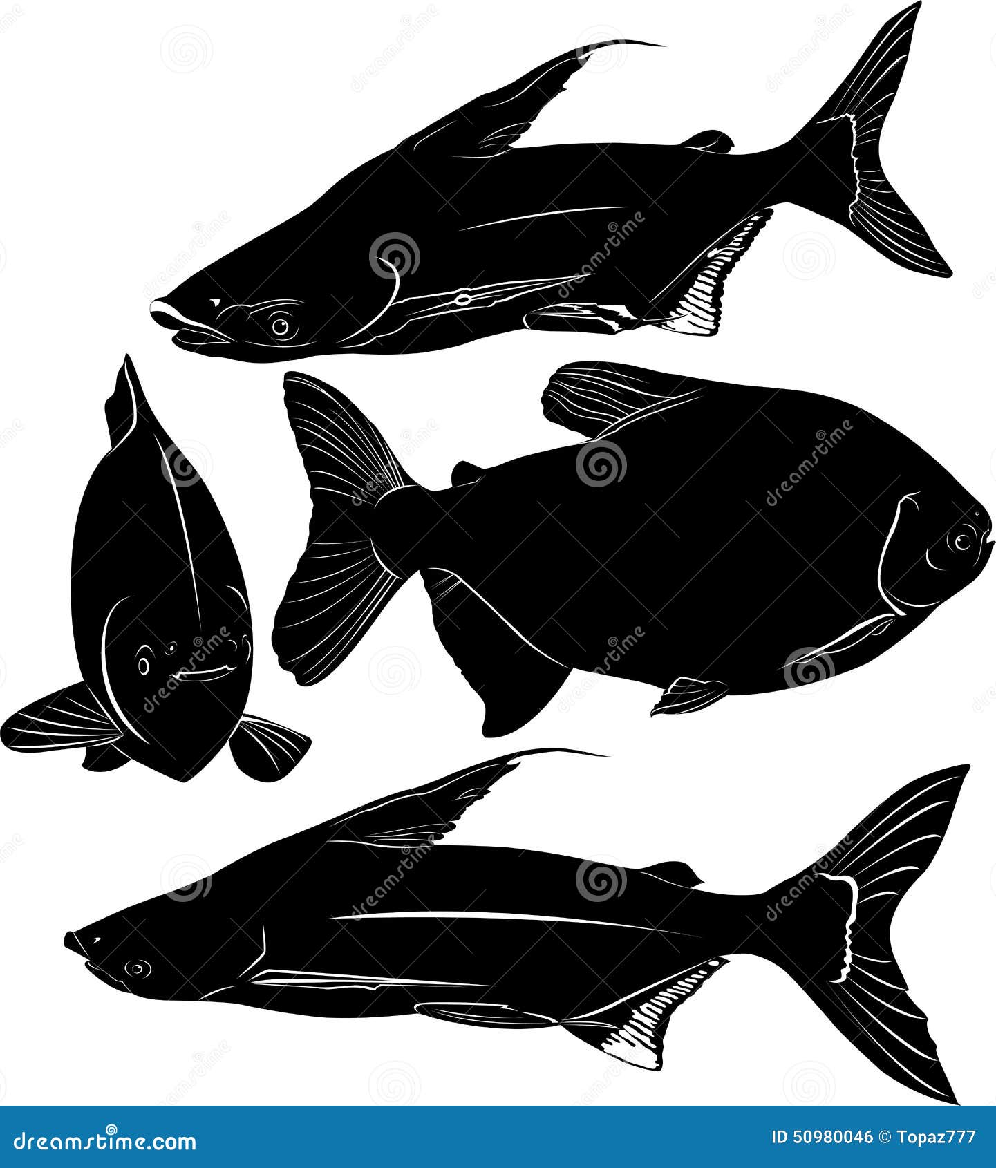 Pangasius Cartoons, Illustrations & Vector Stock Images - 202 Pictures ...