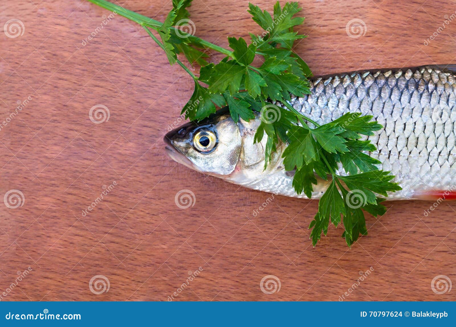 Fish and parsley stock photo. Image of head, meat, animal - 70797624