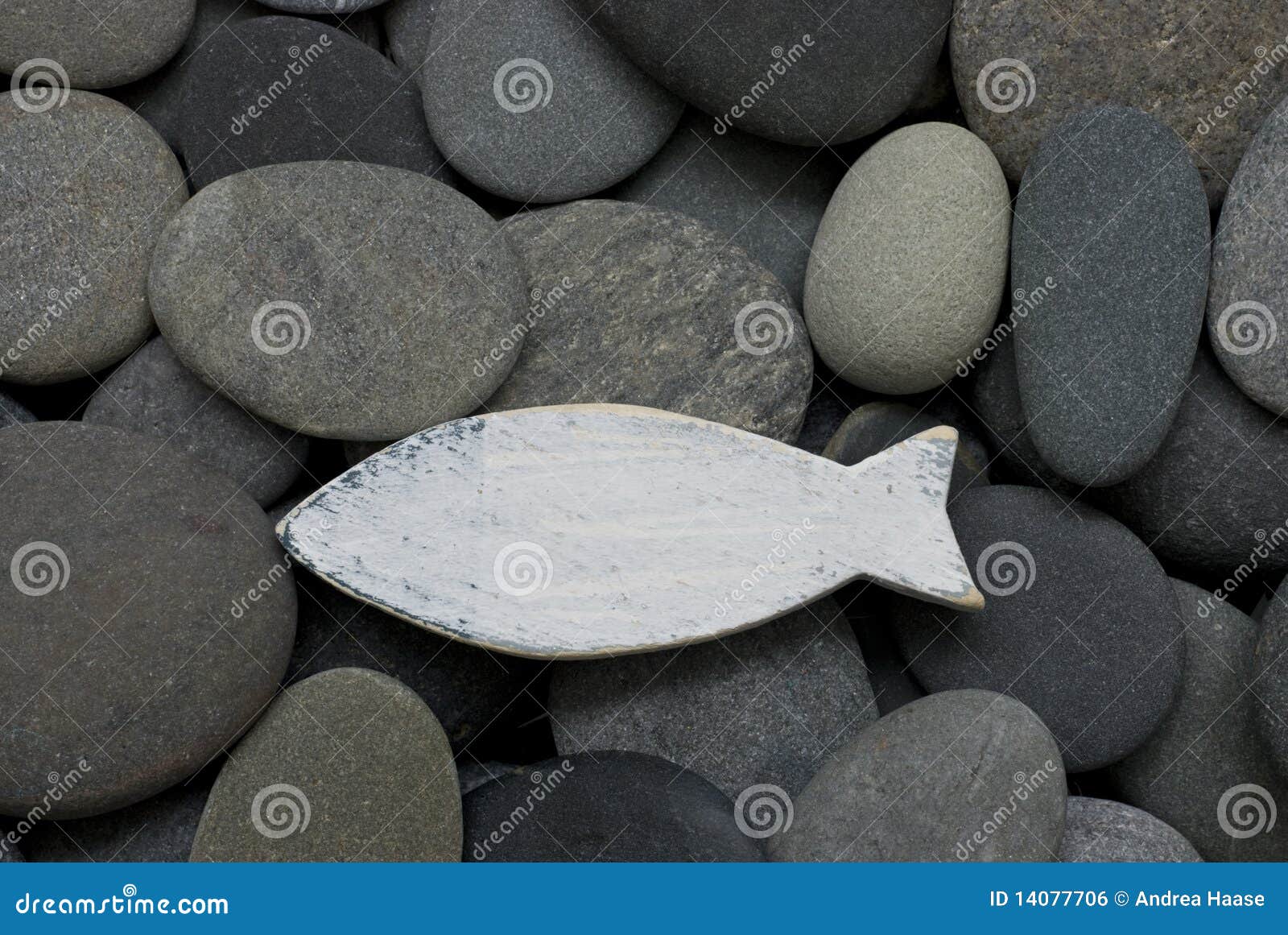 Fish on pebble stock photo. Image of symbol, detail, white - 14077706