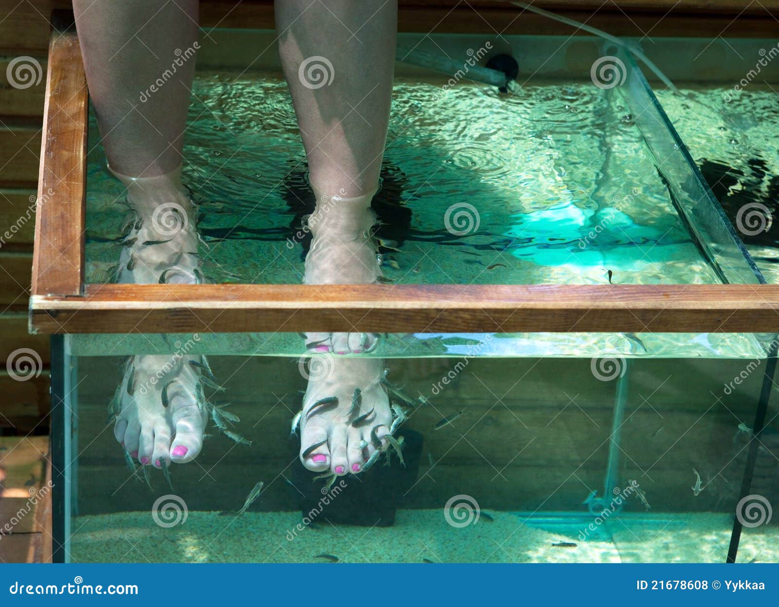 Fish pedicure stock photo. Image of pedicure, water, salon - 21678608