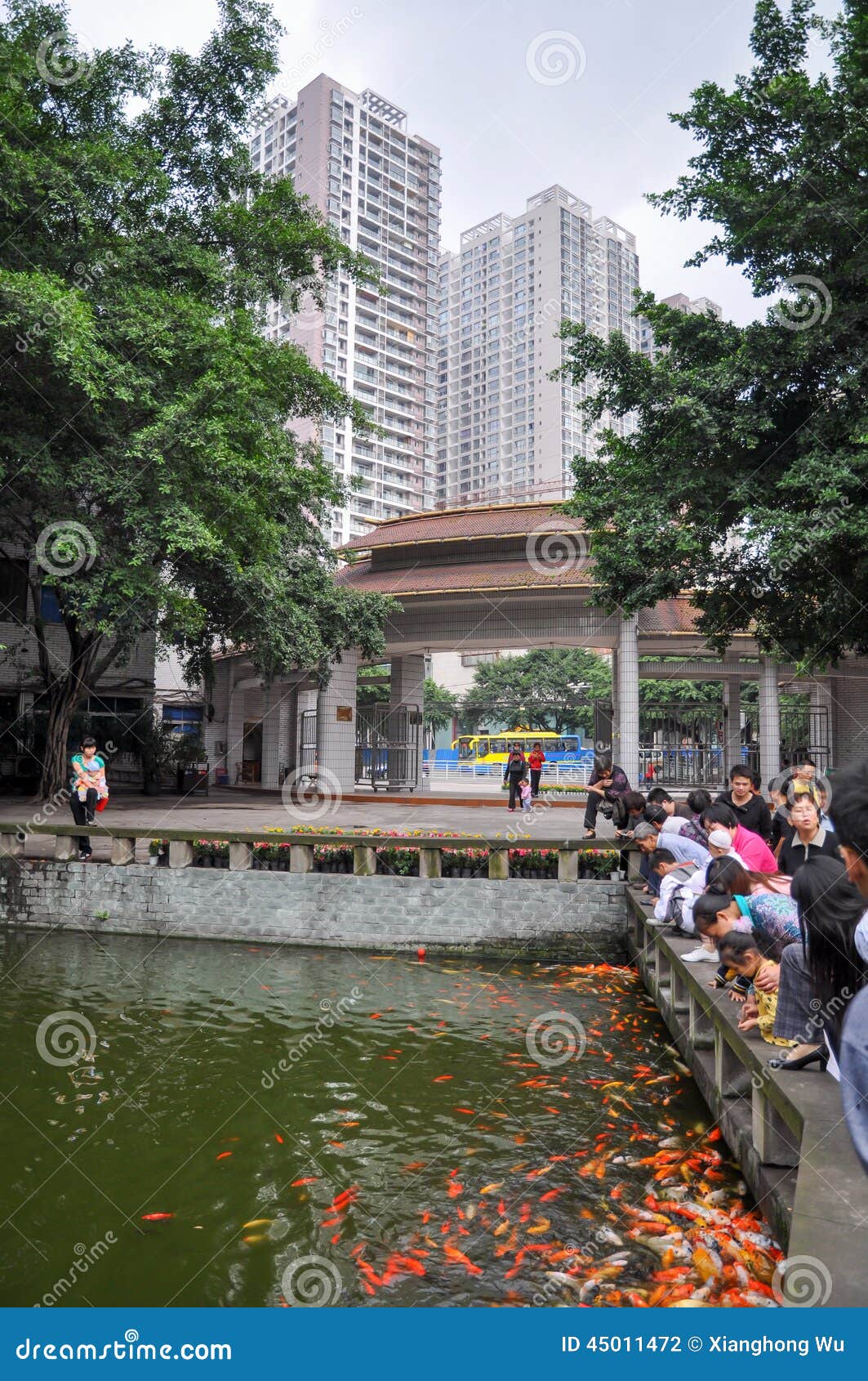 Fish and People in Park editorial photography. Image of carp - 45011472