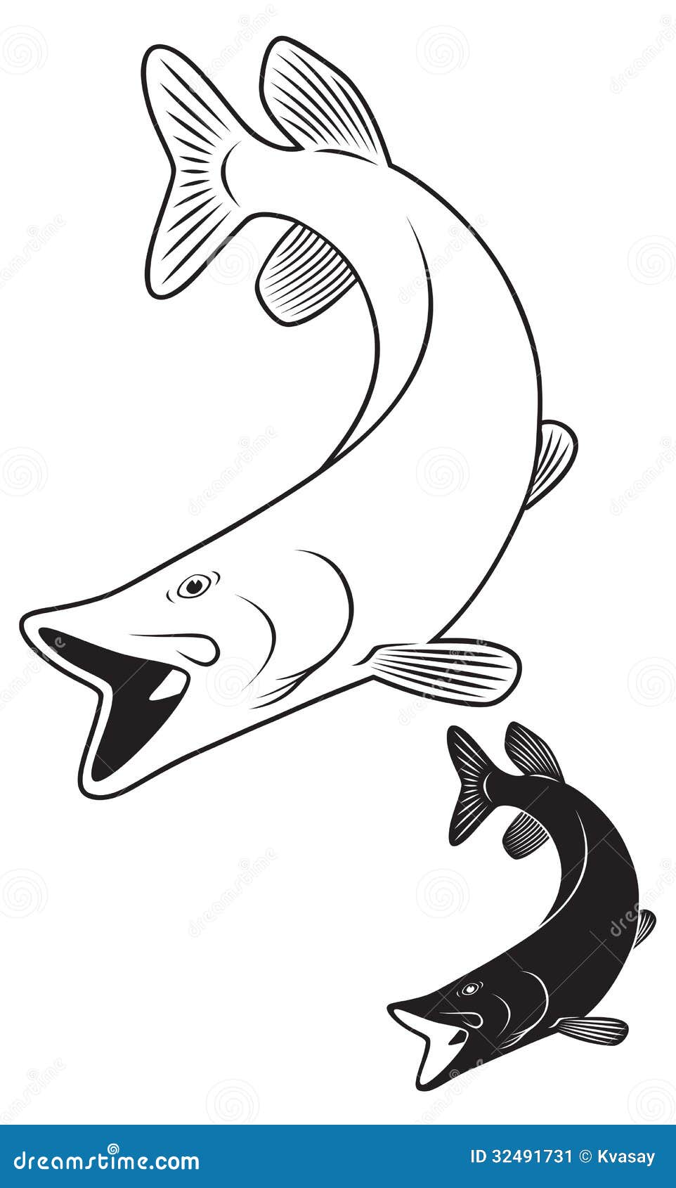 Fish Pike Cartoon Vector | CartoonDealer.com #38994763