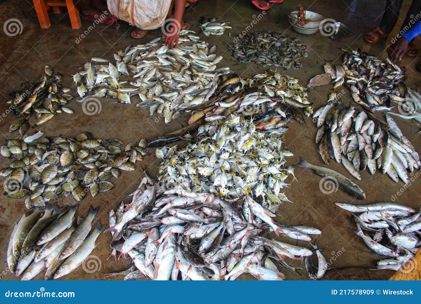 Fish Piles for Sale in the Market Stock Image - Image of freshness ...