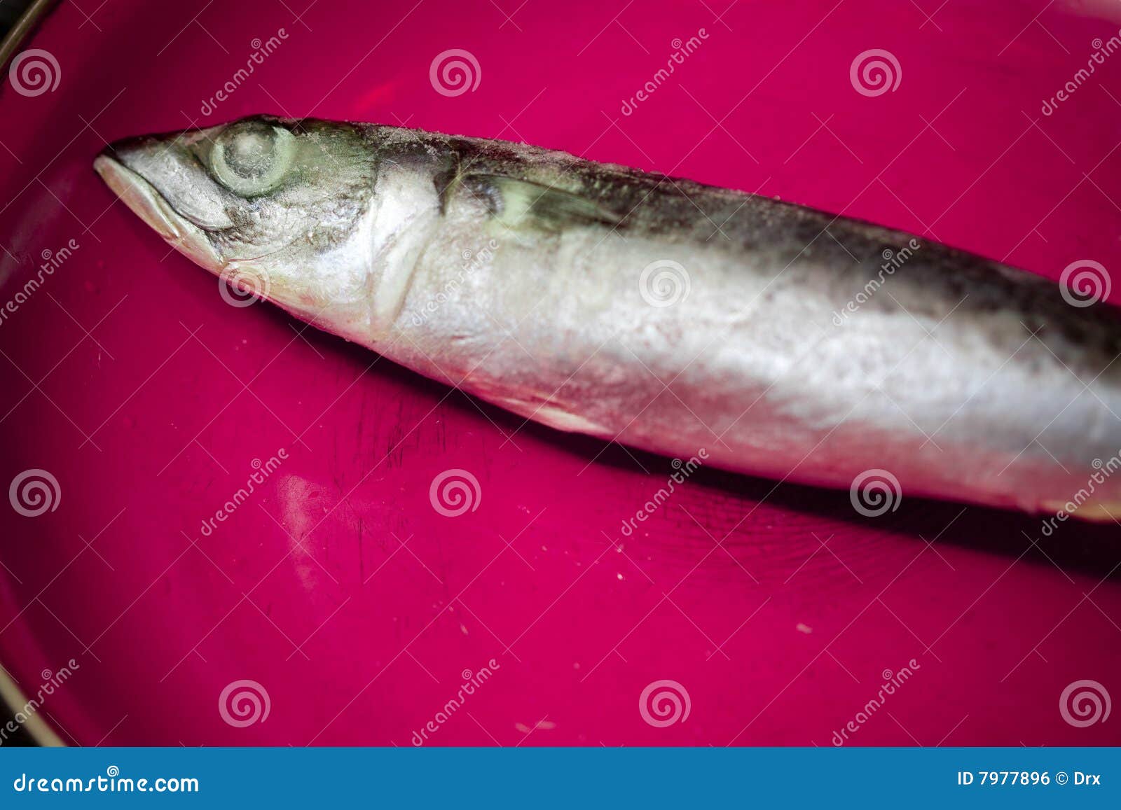 Fish in pink dish stock photo. Image of natural, taste - 7977896
