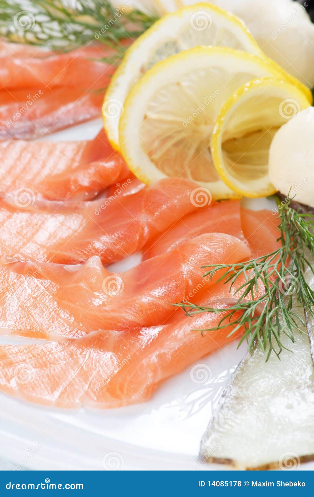 Fish on the plate stock photo. Image of fresh, salmon - 14085178