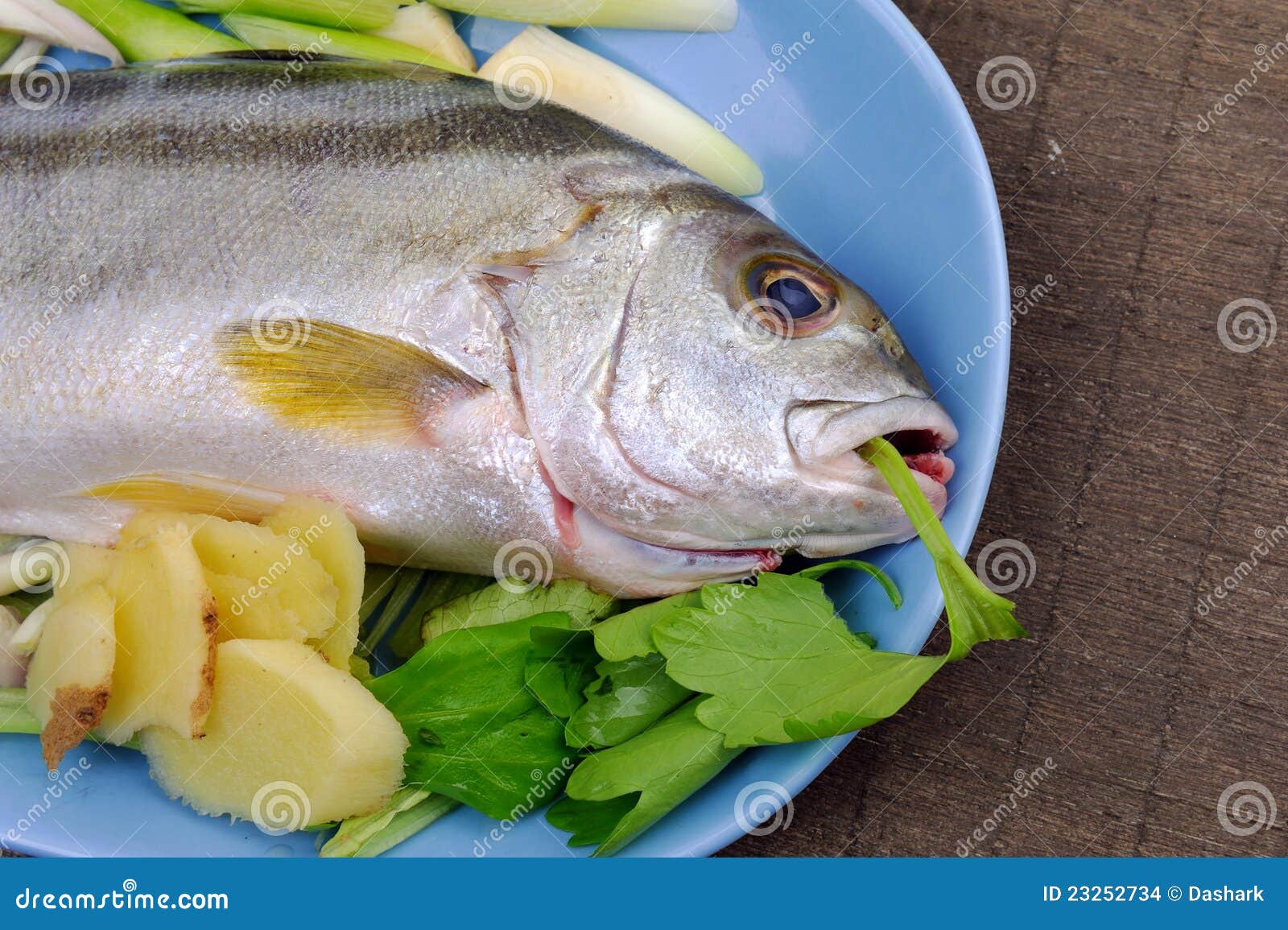 Fish in the plate stock photo. Image of mediterranean - 23252734