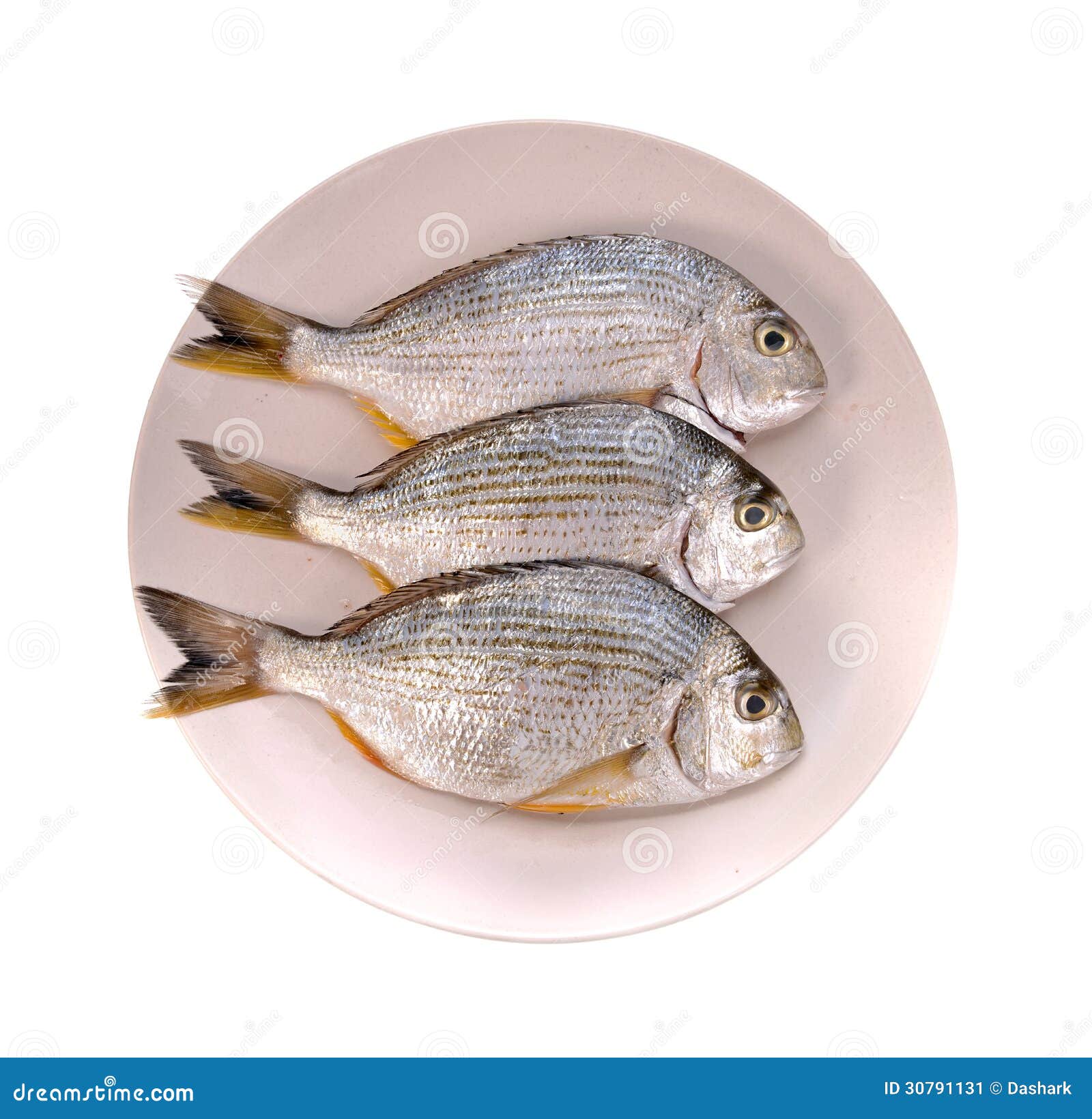 Fish in the plate stock image. Image of seafood, freshness - 30791131