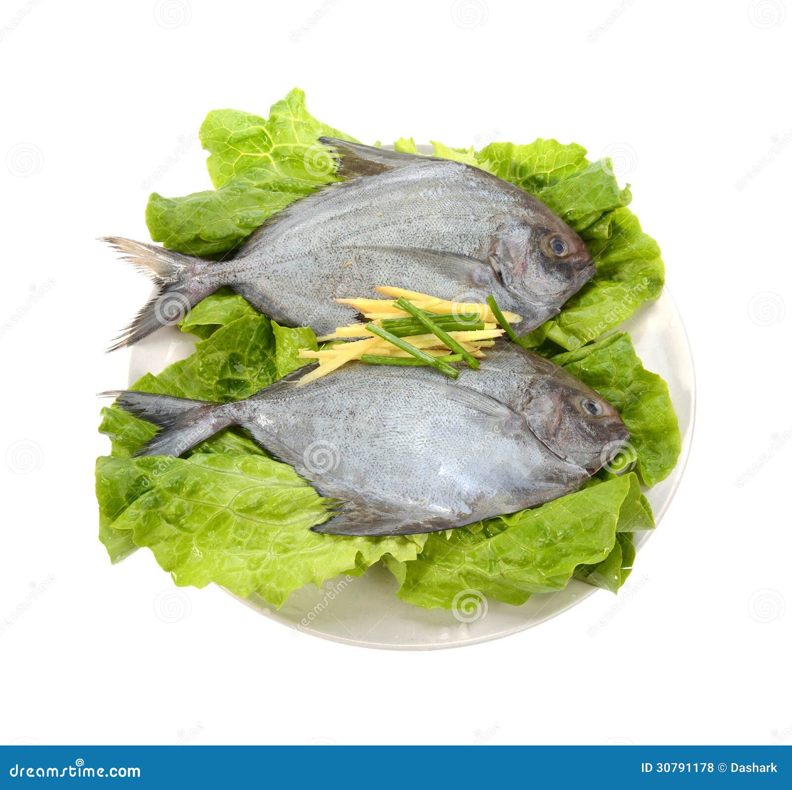 Fish in the plate stock photo. Image of mediterranean - 30791178