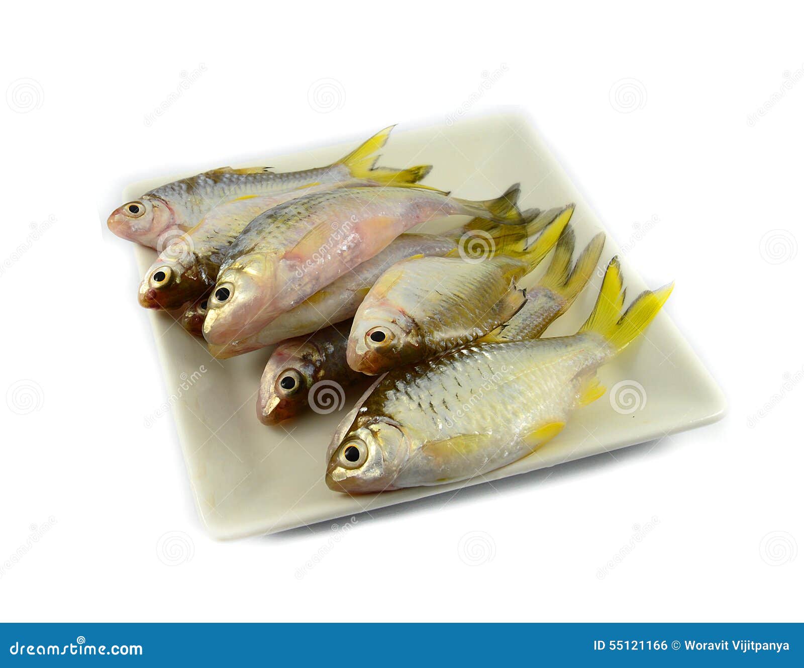 Fish on plate stock photo. Image of fish, freshness, barbie - 55121166
