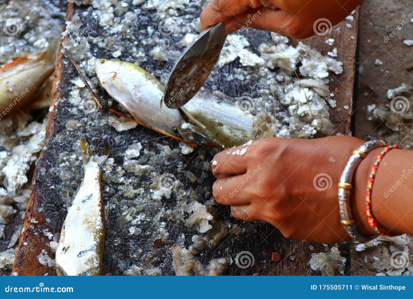 Fish Plucking Process for Cooking Stock Image - Image of ingredients ...