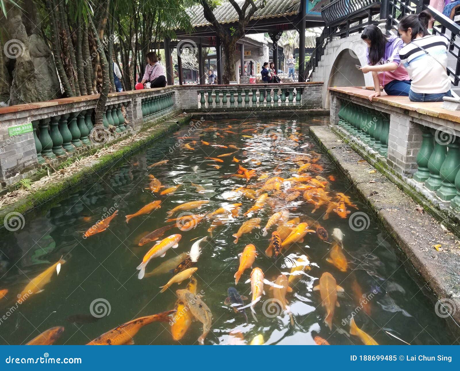 Fish pond China editorial image. Image of fish, china - 188699485