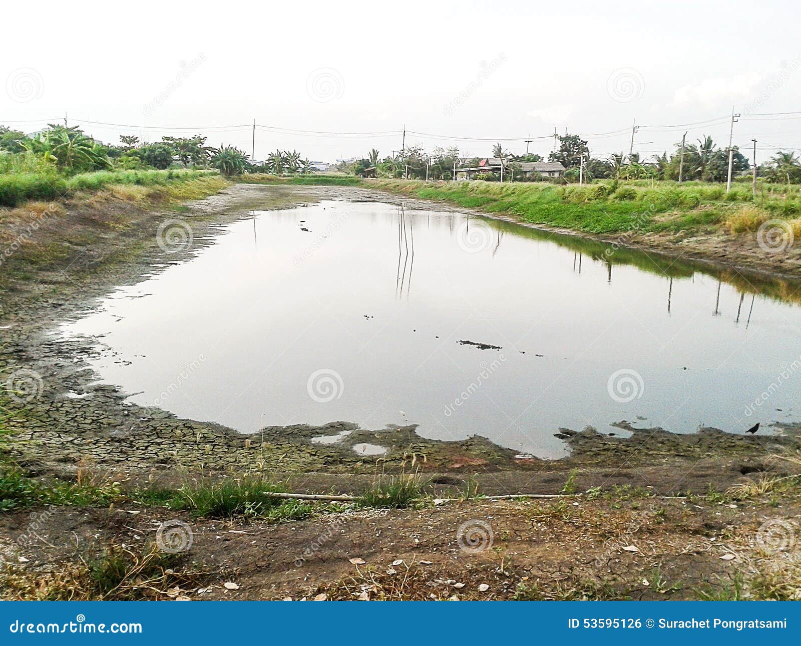 Fish pond stock photo. Image of country, water, ground - 53595126