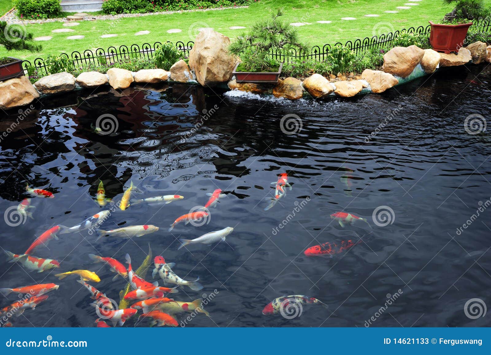 A fish pond in garden stock image. Image of aqualung - 14621133