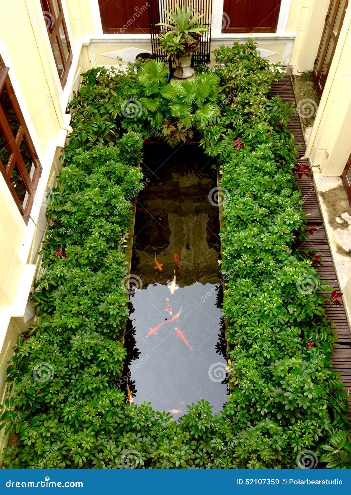 Fish Pond and Garden in Courtyard Stock Image - Image of calm, wall ...