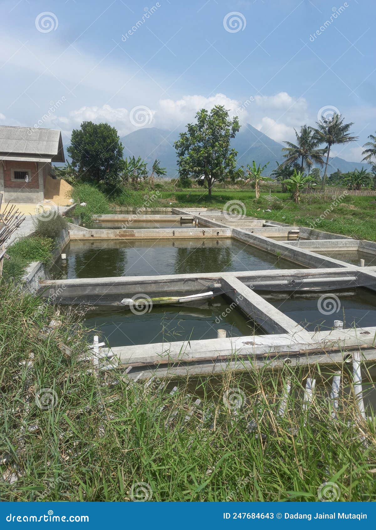 Fish Pond in Garut Regency, West Java, Indonesia Stock Image - Image of ...