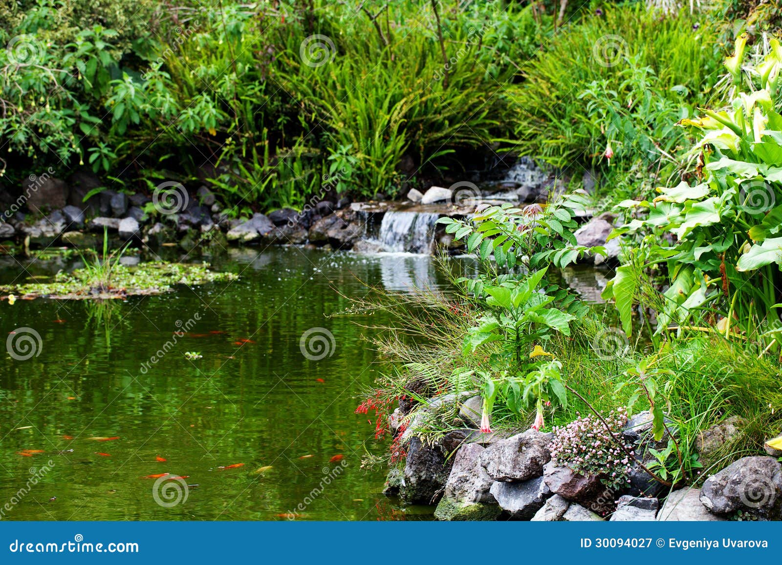 Pond and Green Trees Around Stock Image - Image of blossom, lake: 30094027