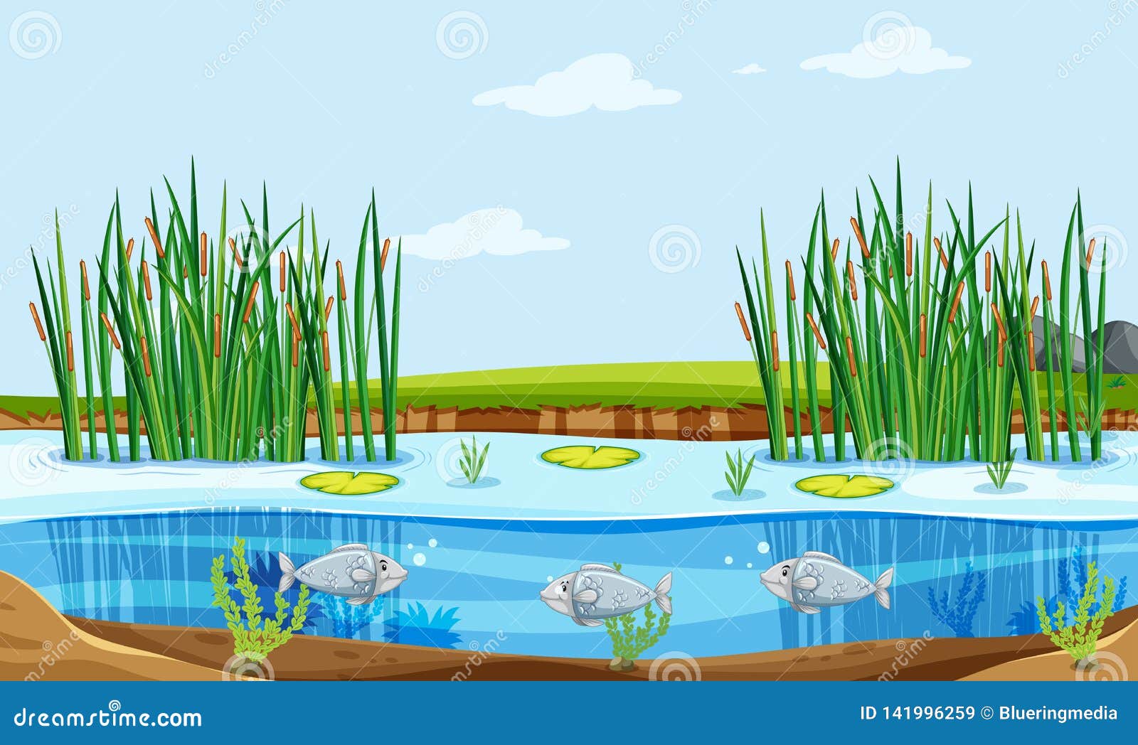 Fish Pond Stock Illustrations – 10,580 Fish Pond Stock Illustrations ...