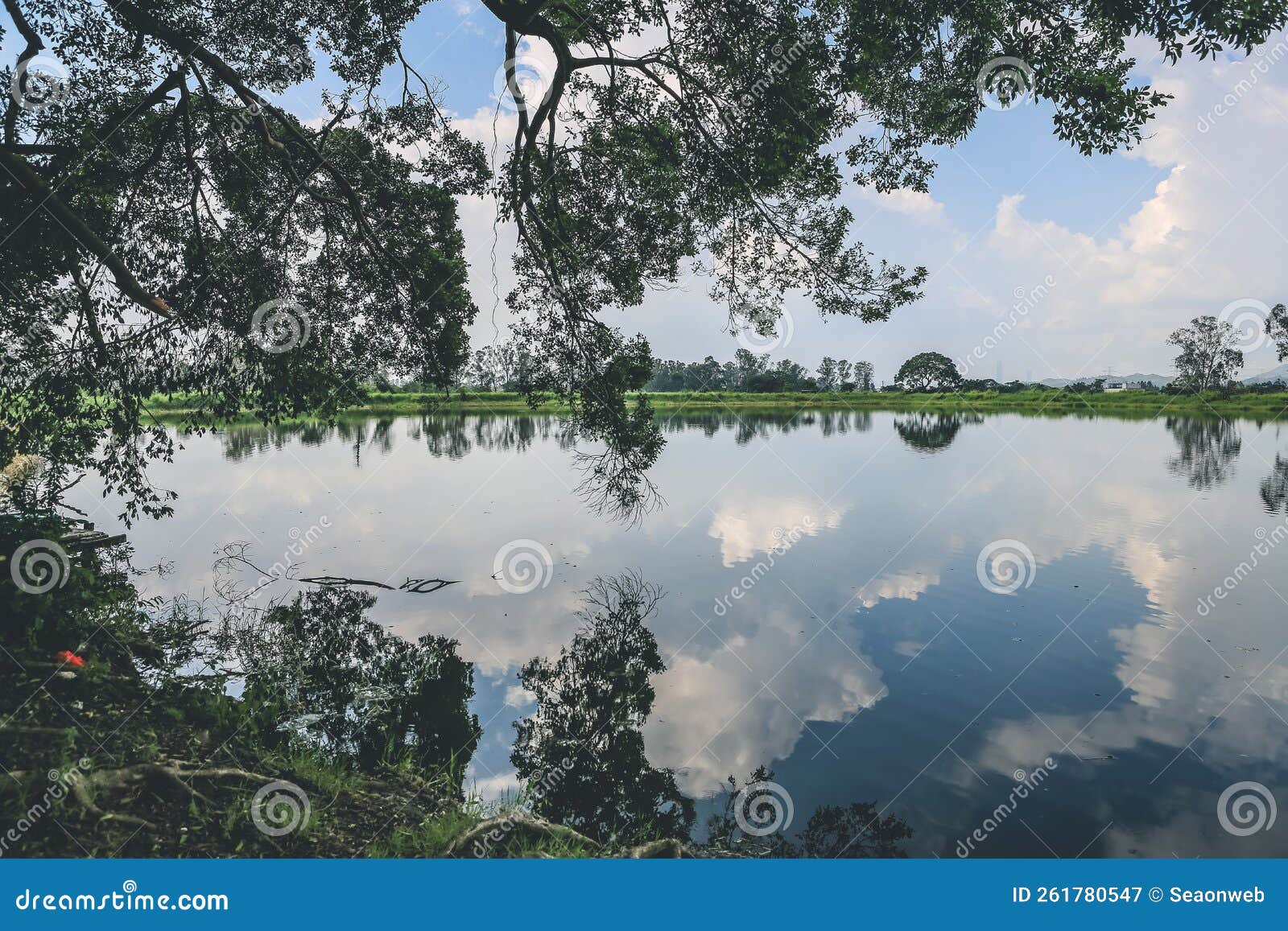 The Fish Pond at Shan Pui Tsuen 29 July 2012 Stock Image - Image of ...