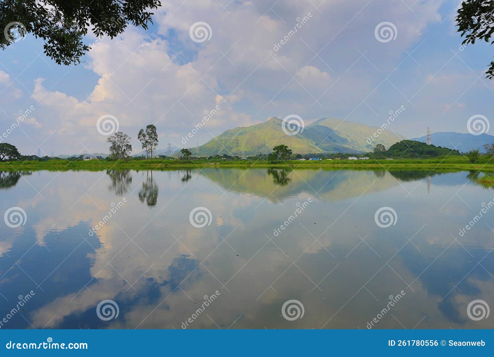 The Fish Pond at Shan Pui Tsuen 29 July 2012 Stock Photo - Image of ...