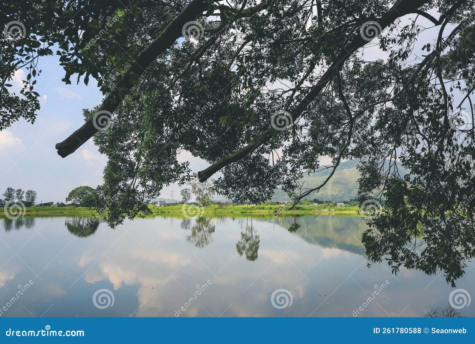 The Fish Pond at Shan Pui Tsuen 29 July 2012 Stock Photo - Image of ...