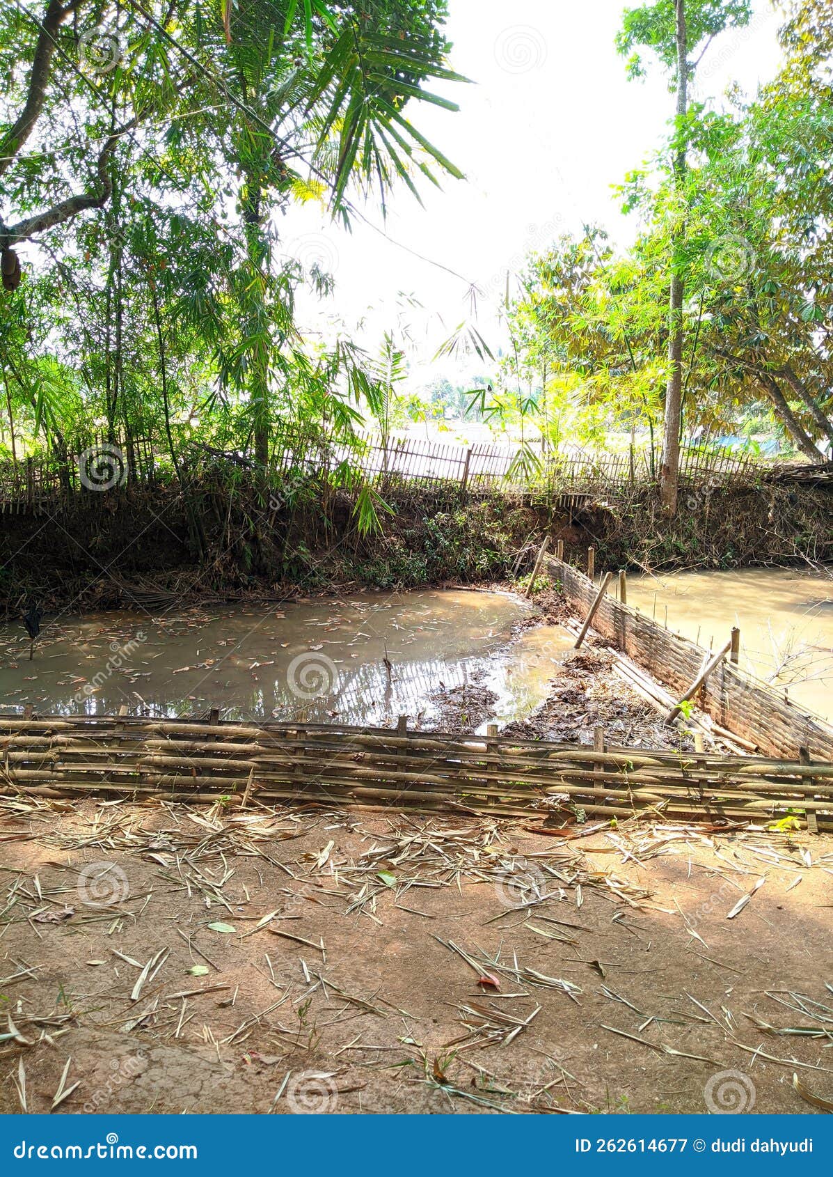 Quiet and Beautiful Rural Nature with Fish Ponds Stock Image - Image of ...