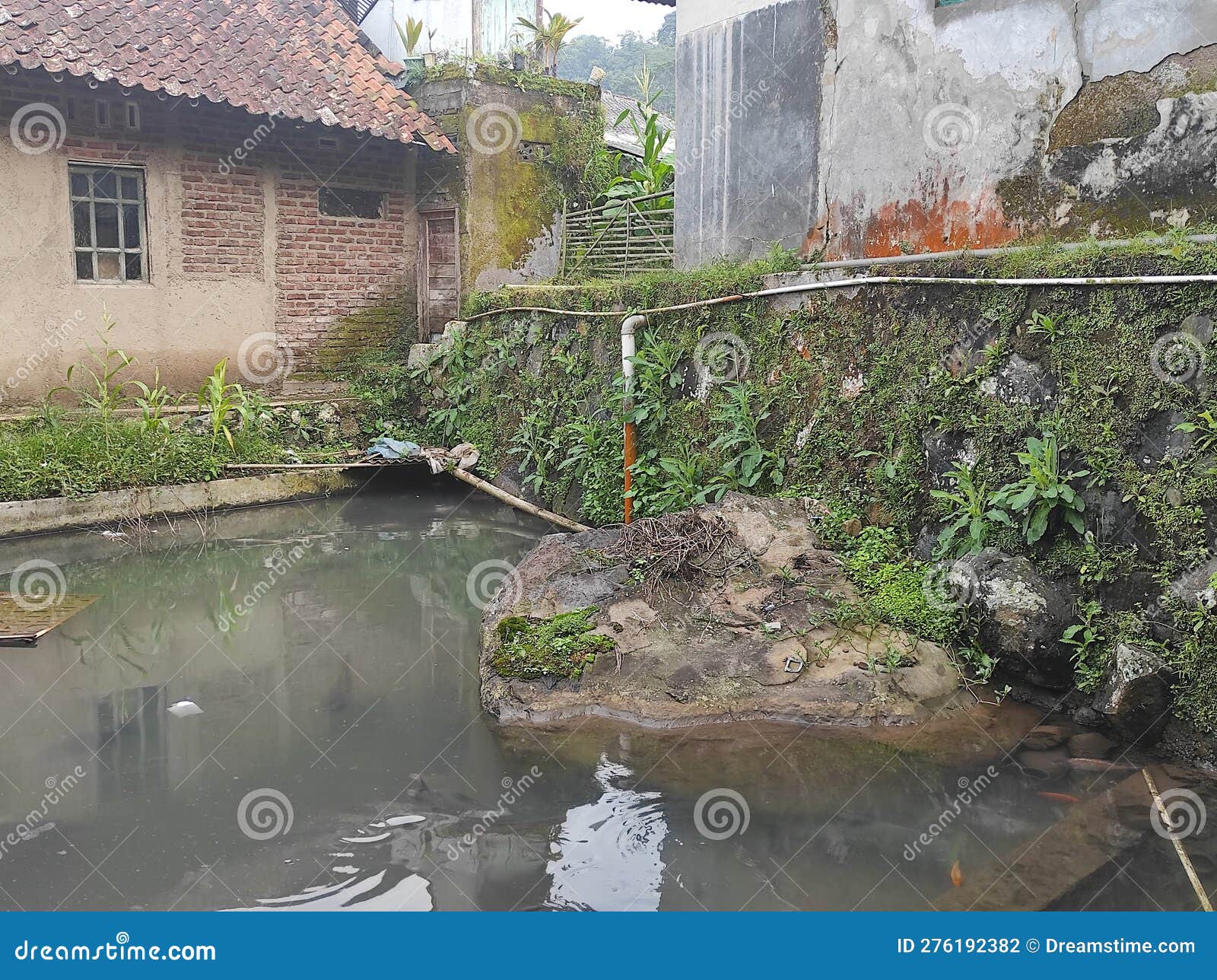Fish pond water flow stock photo. Image of river, reservoir - 276192382