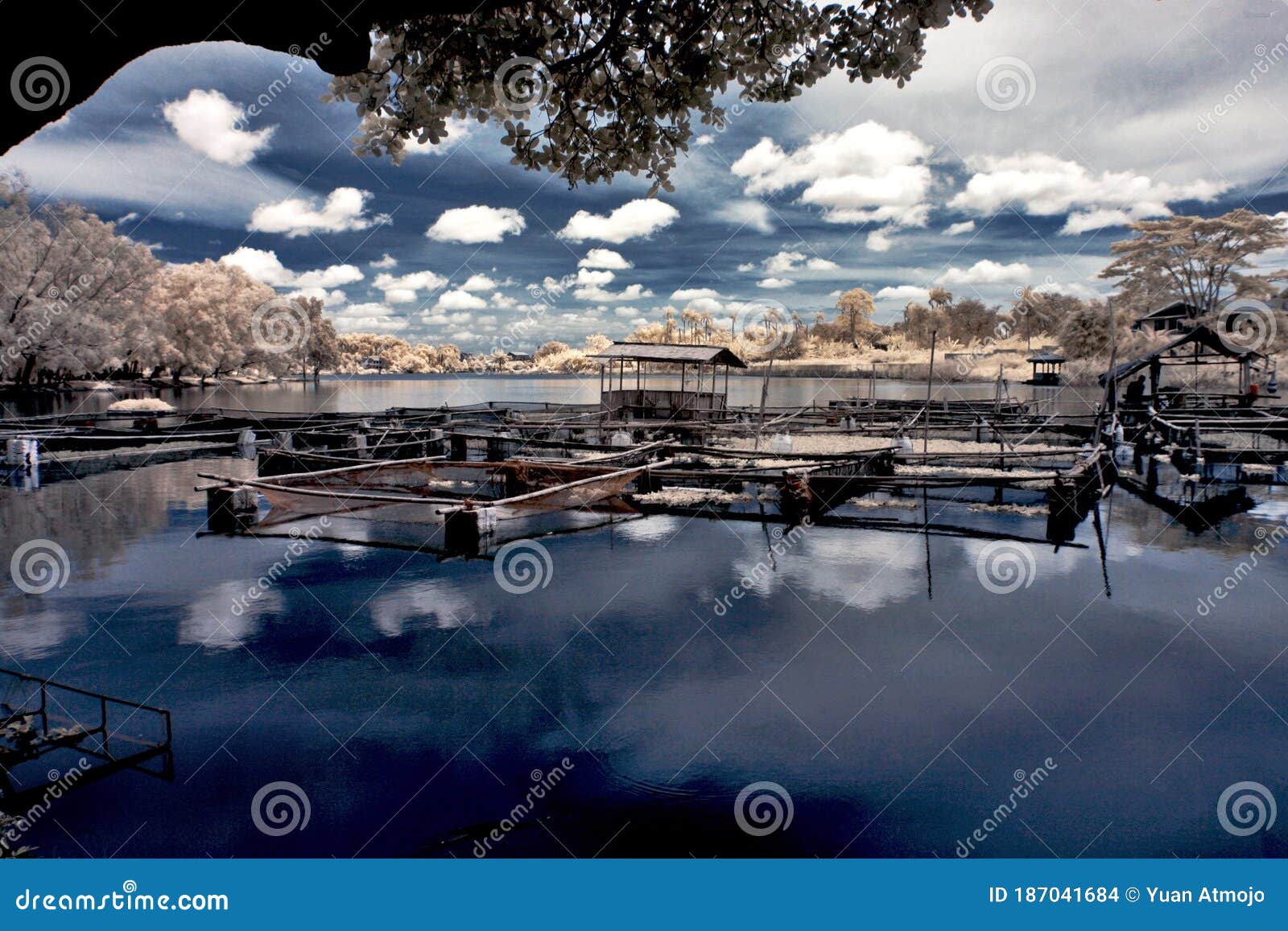 Fish Ponds at the Lake stock photo. Image of farming - 187041684