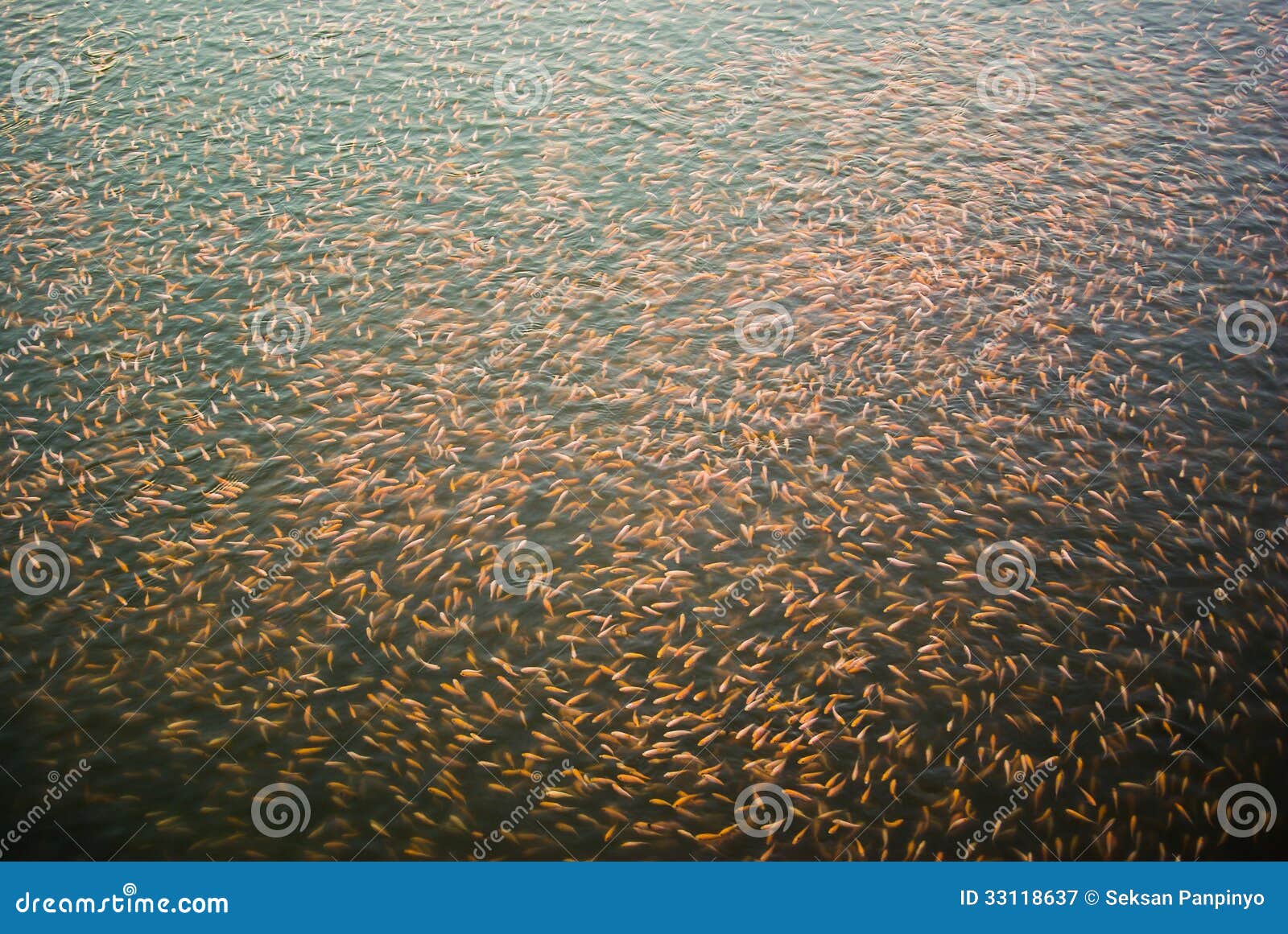 Fish ponds on the sea stock image. Image of eastern, thailand - 33118637