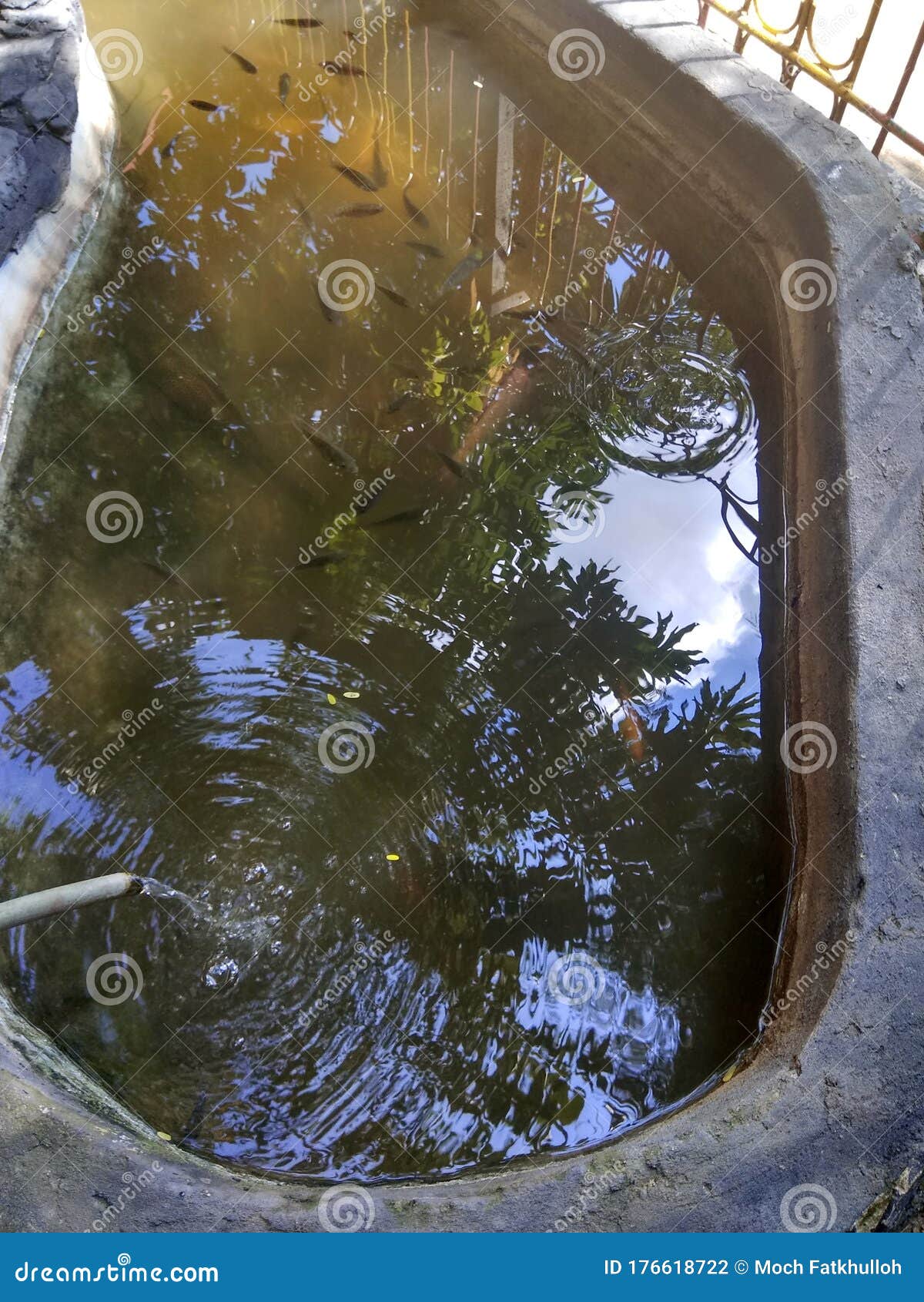The Fish Pool in School Garden Stock Photo - Image of school, garden ...