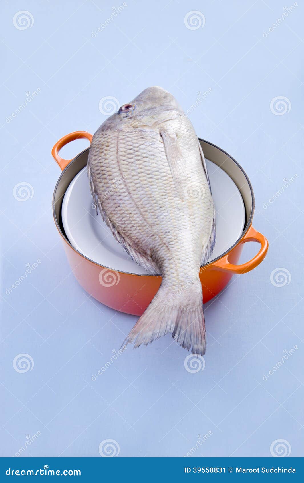 Fish in the pot stock image. Image of flag, counter, flow - 39558831