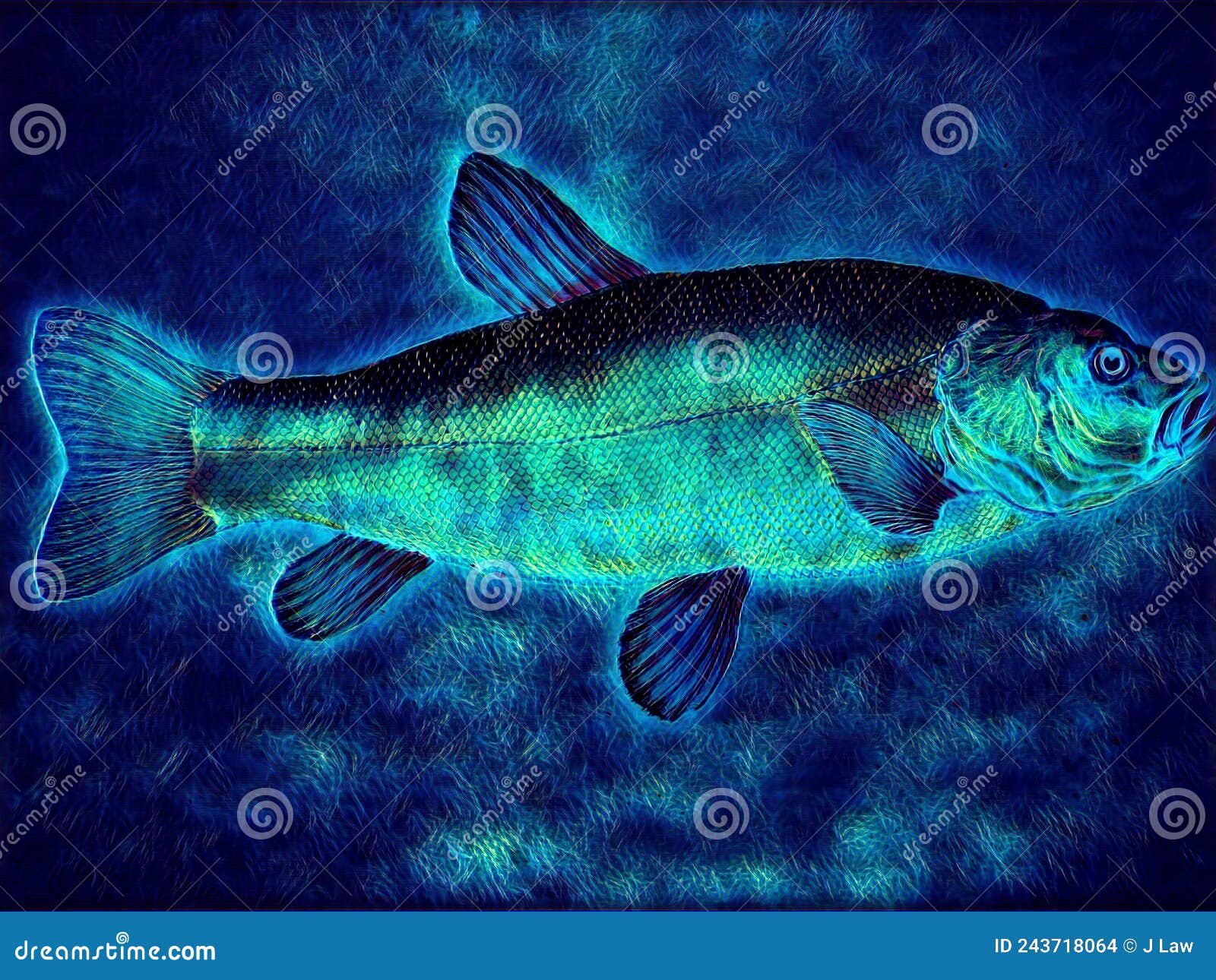 Glowing Emerald Green and Turquoise Blue Freshwater Fish of TENCH ...