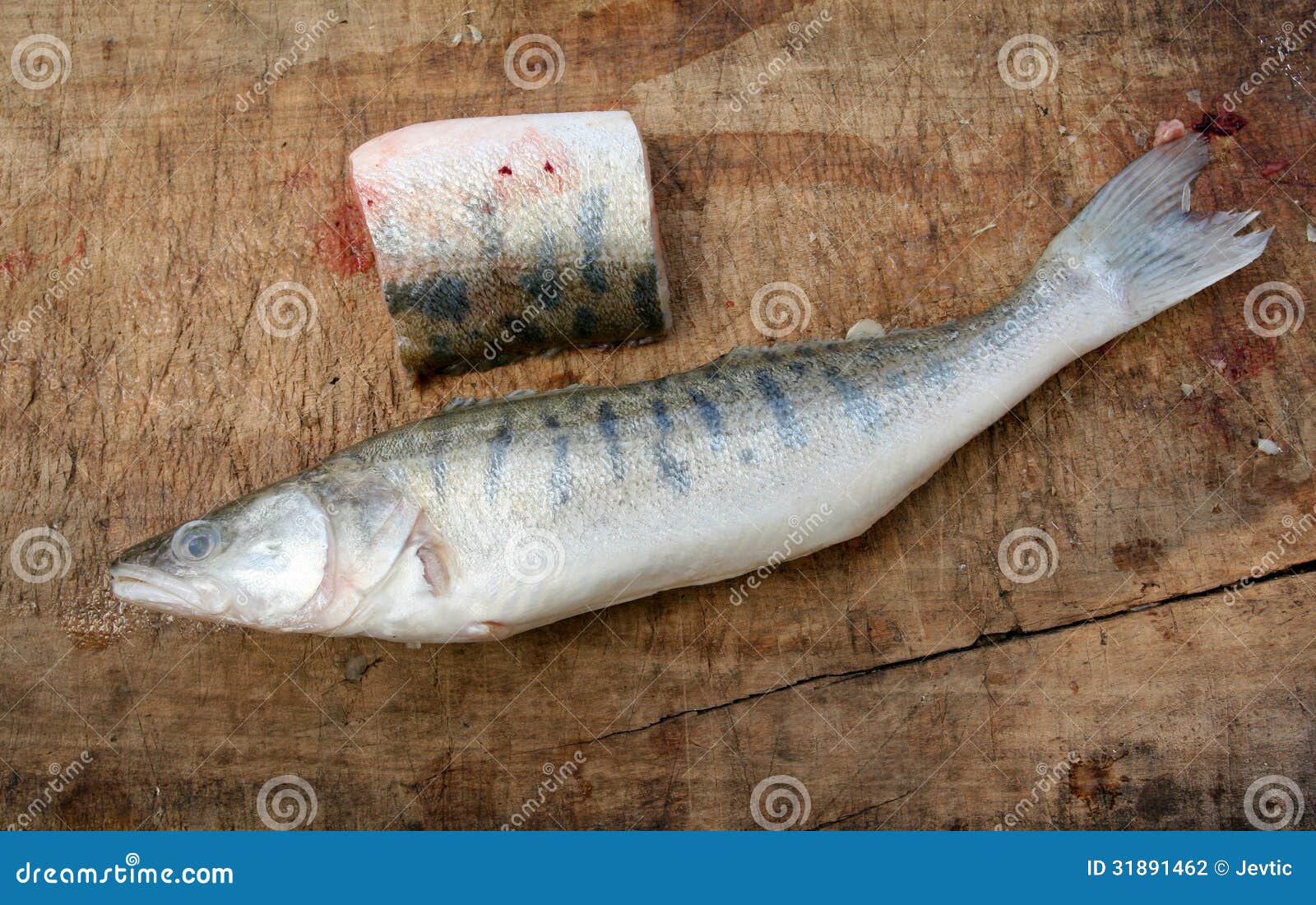Fish preparation stock photo. Image of sauce, food, sport - 31891462