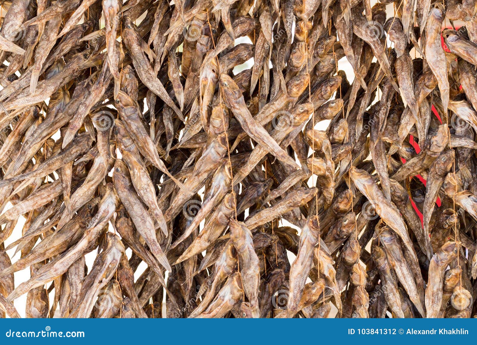 Fish Preservation by Drying in Ukraine Azov Sea 2 Stock Photo - Image ...