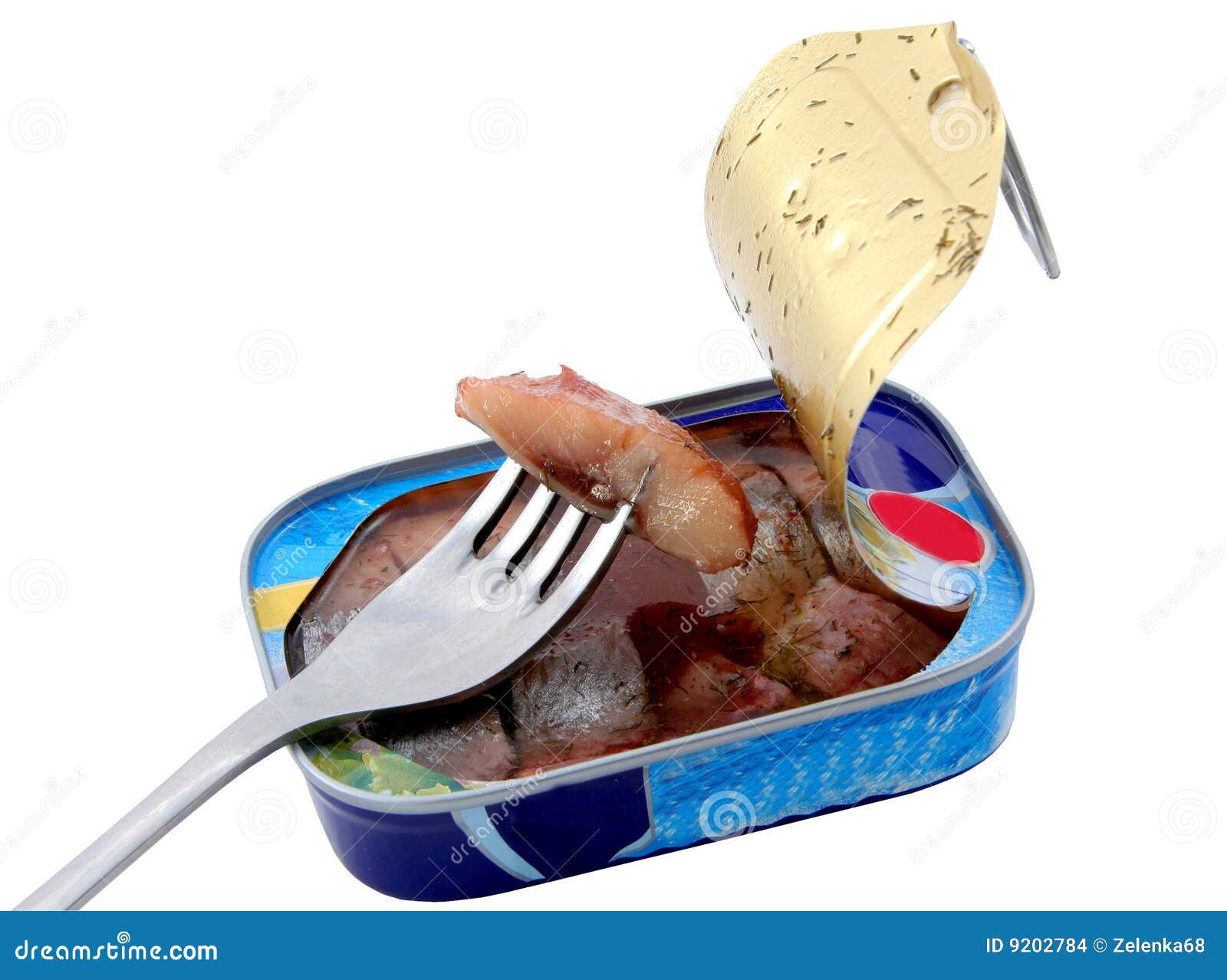 Fish preserved stock photo. Image of bank, kitchen, canned - 9202784