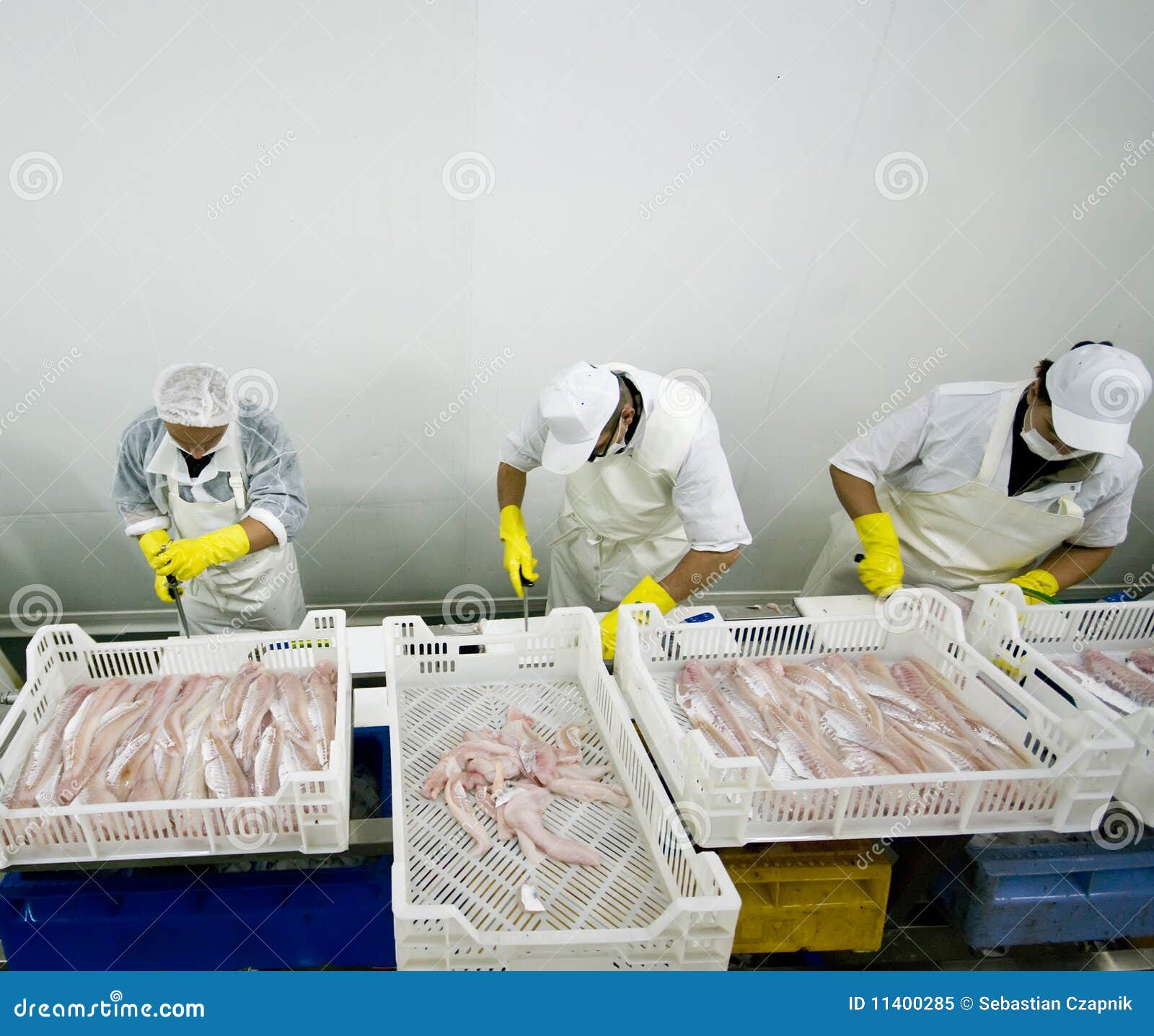 Fish Processing Assembly Line Stock Image - Image of distribution ...
