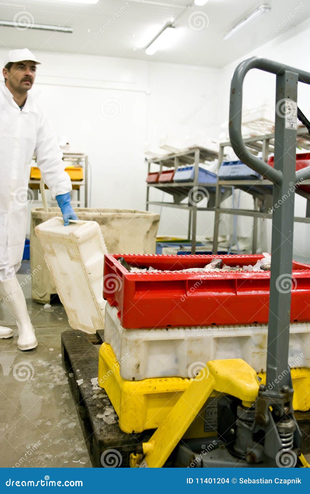 Fish processing factory stock photo. Image of male, processing - 11401204