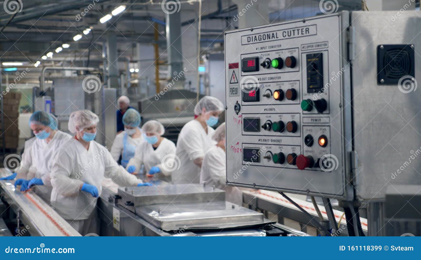 Fish-processing Factory Unit with the Staff at Work. Food Processing ...