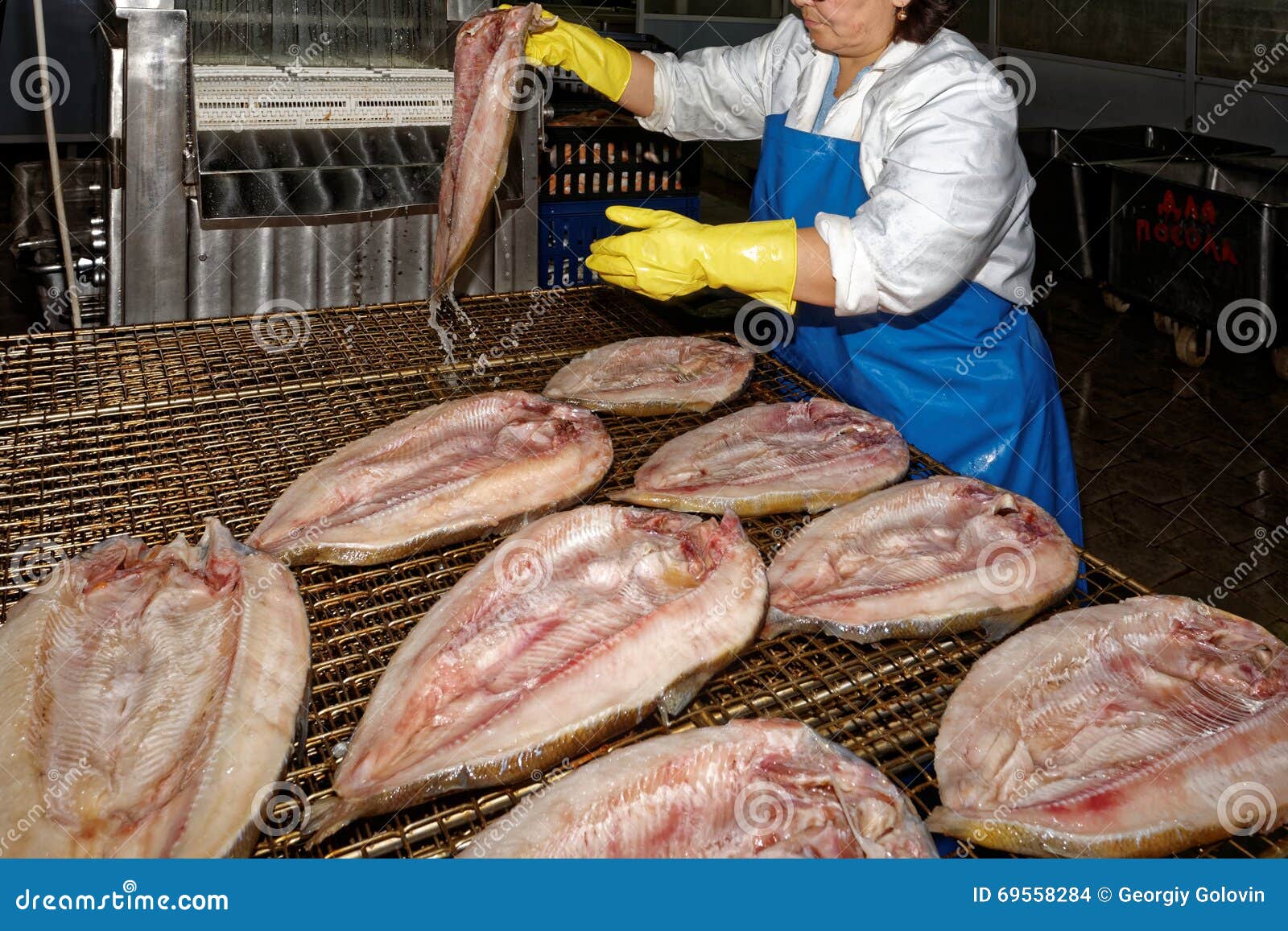 Fish Processing, Fish Factory Editorial Stock Image - Image of industry ...