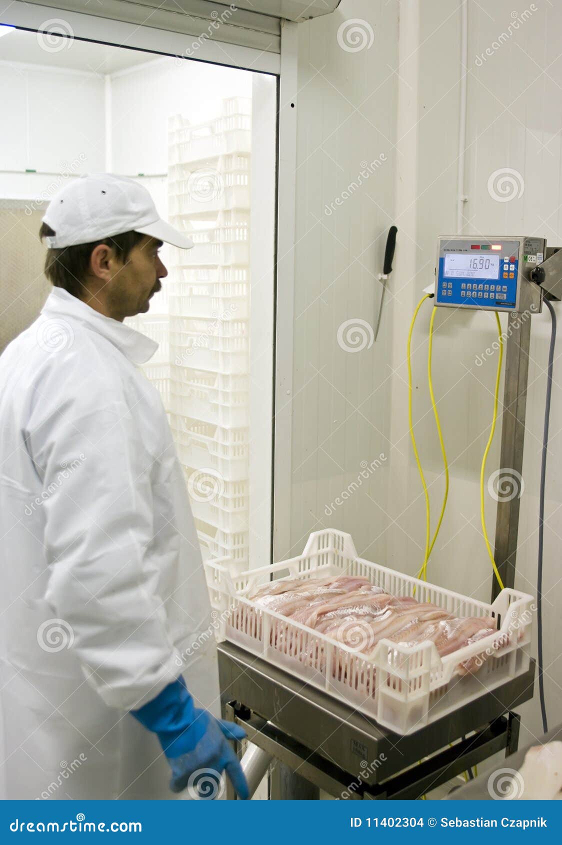 Fish Processing Manufacture Stock Photo - Image of fresh, manufacture ...