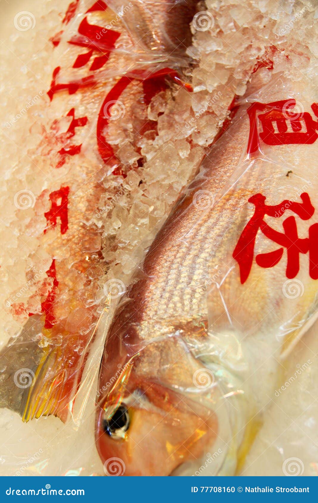 Fish ready for sale stock photo. Image of seafood, food - 77708160