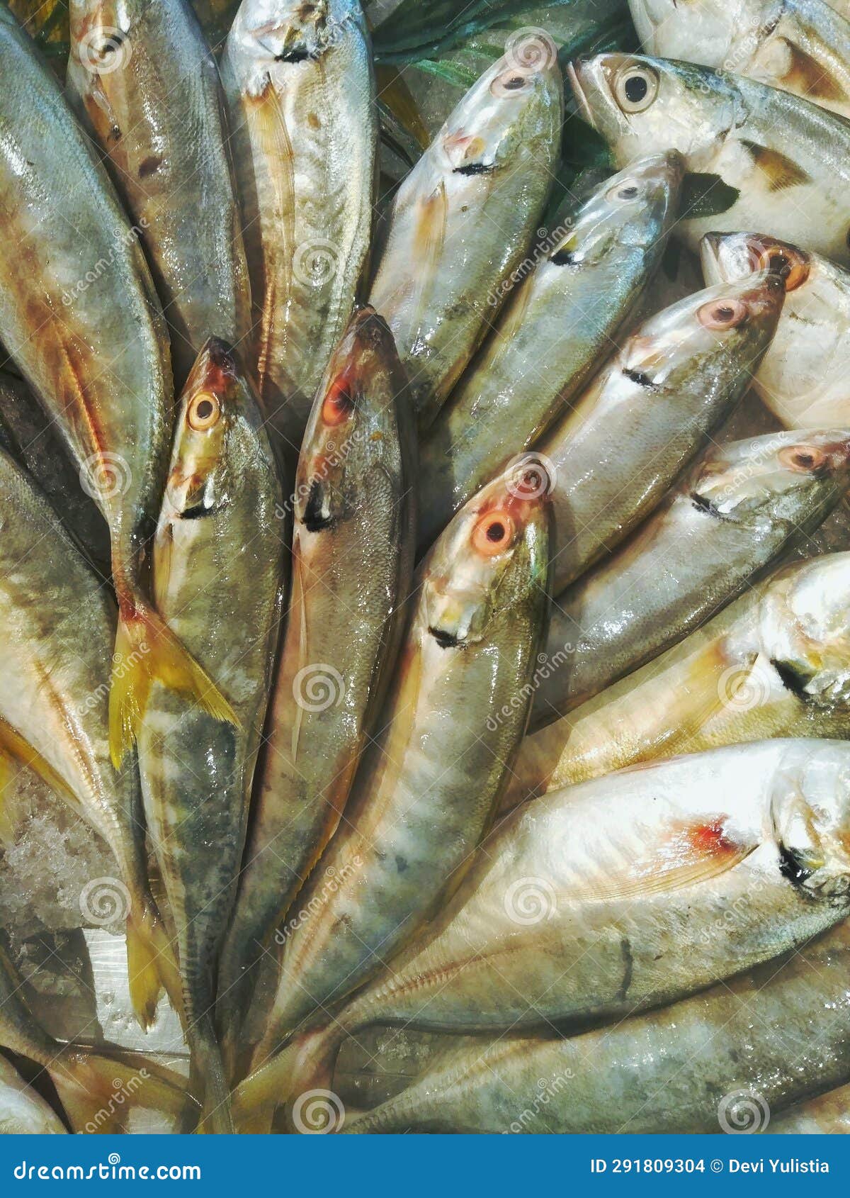 Fish Ready To Be Cooked for Dinner Stock Photo - Image of seafood ...