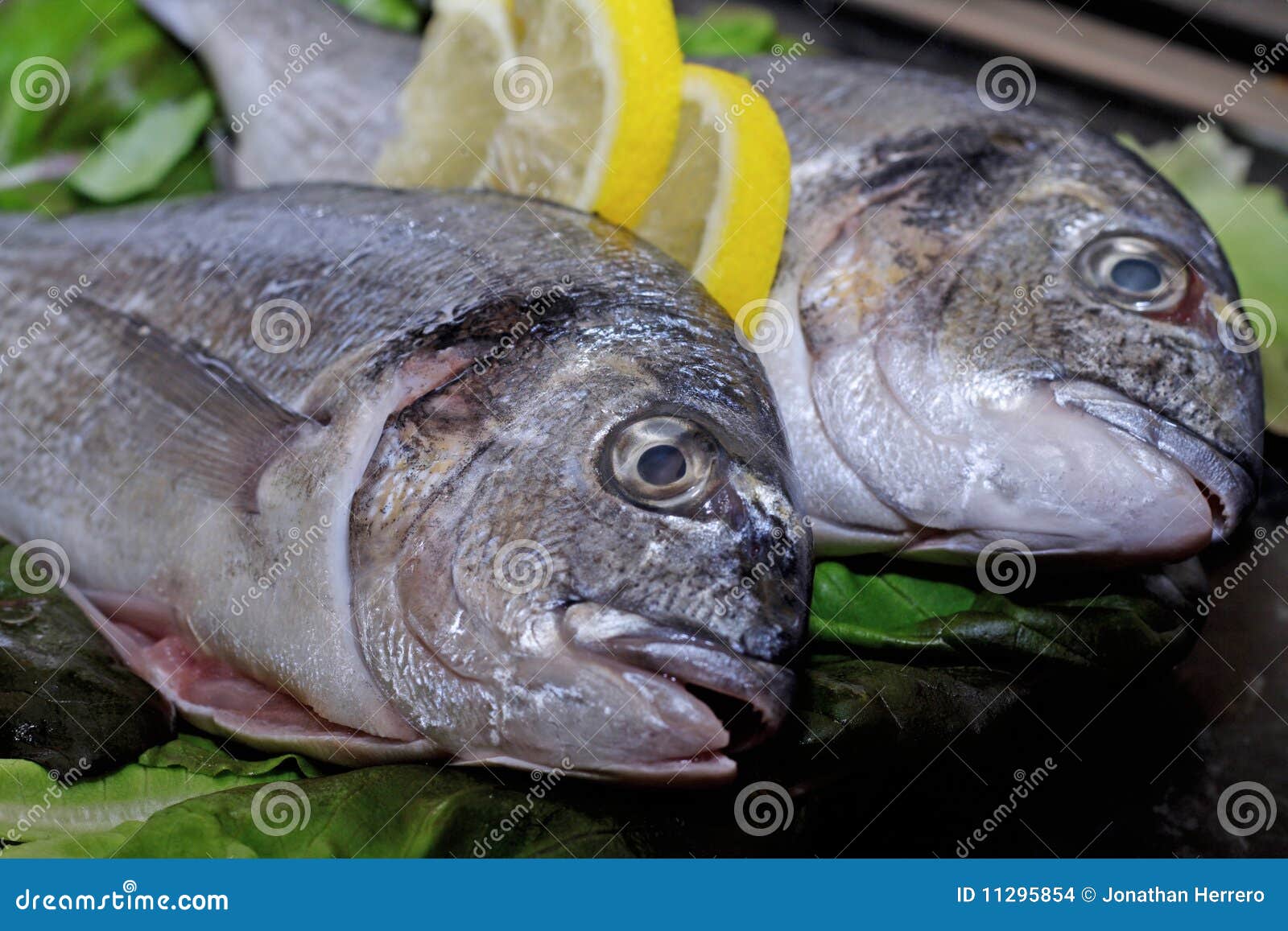 Fish ready to cook stock photo. Image of cook, diet, omega - 11295854