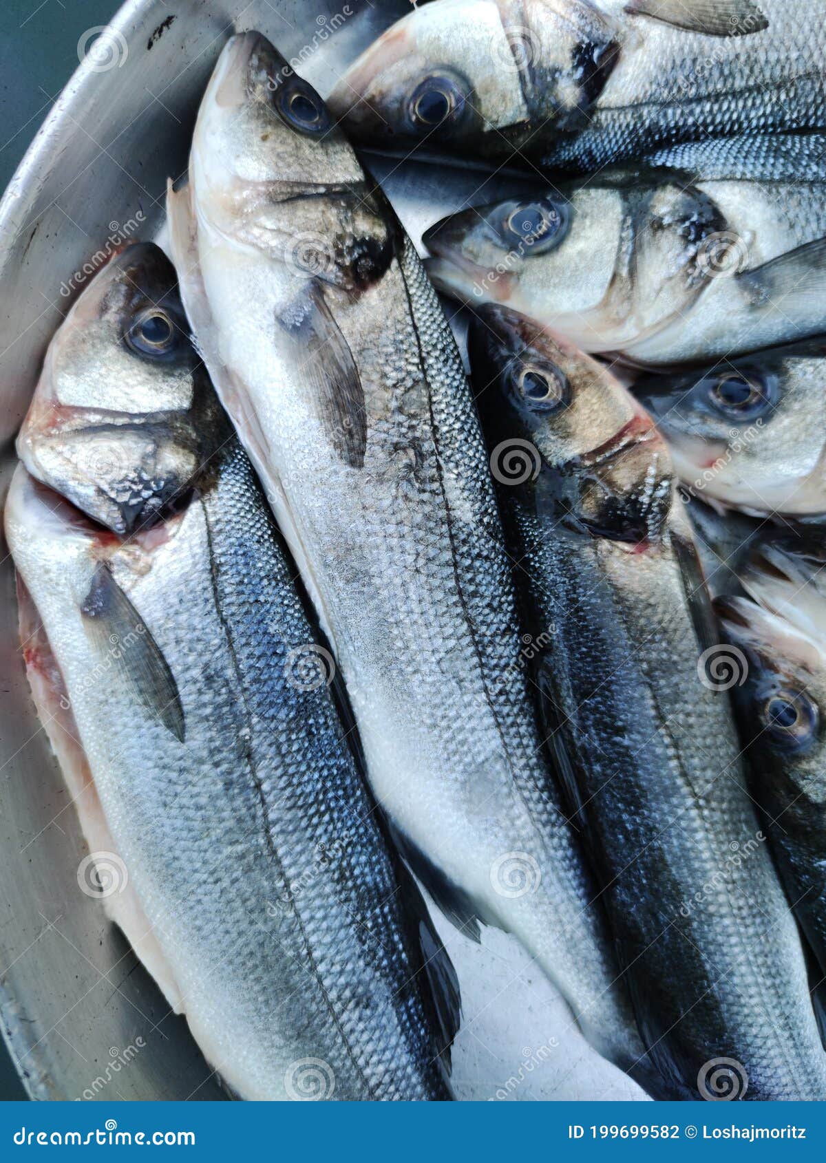 Fish ready to cook stock photo. Image of flat, fish - 199699582