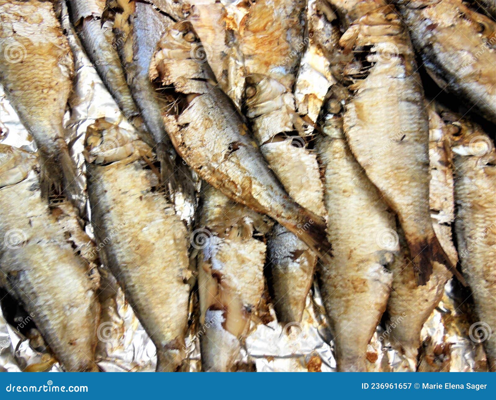 Fish Ready to Cook stock image. Image of caught, meal - 236961657