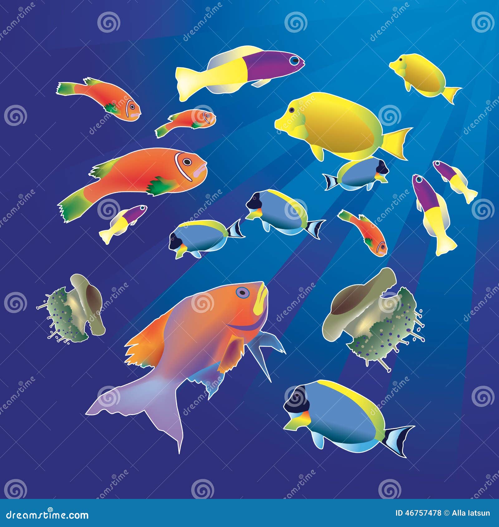 Fish Of The Red Sea Vector Illustration | CartoonDealer.com #46757478