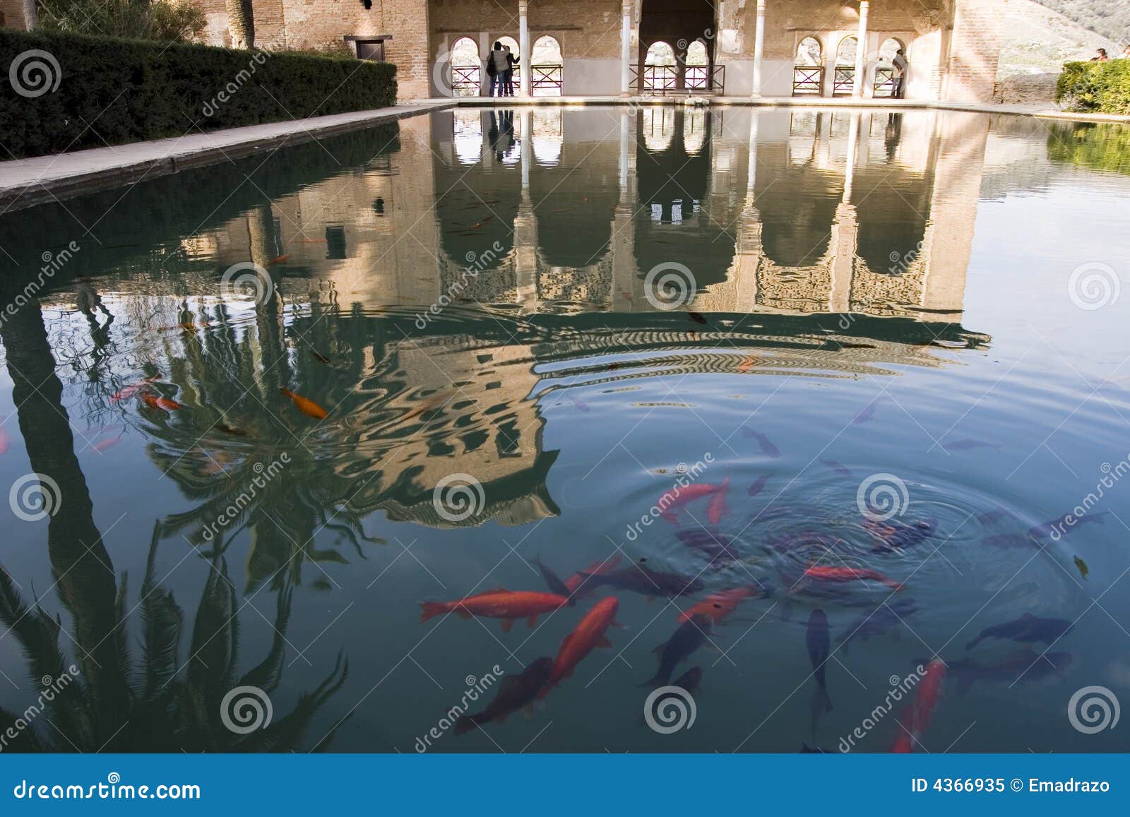 Fish and Reflections in Lake Stock Image - Image of scenic, reflection ...